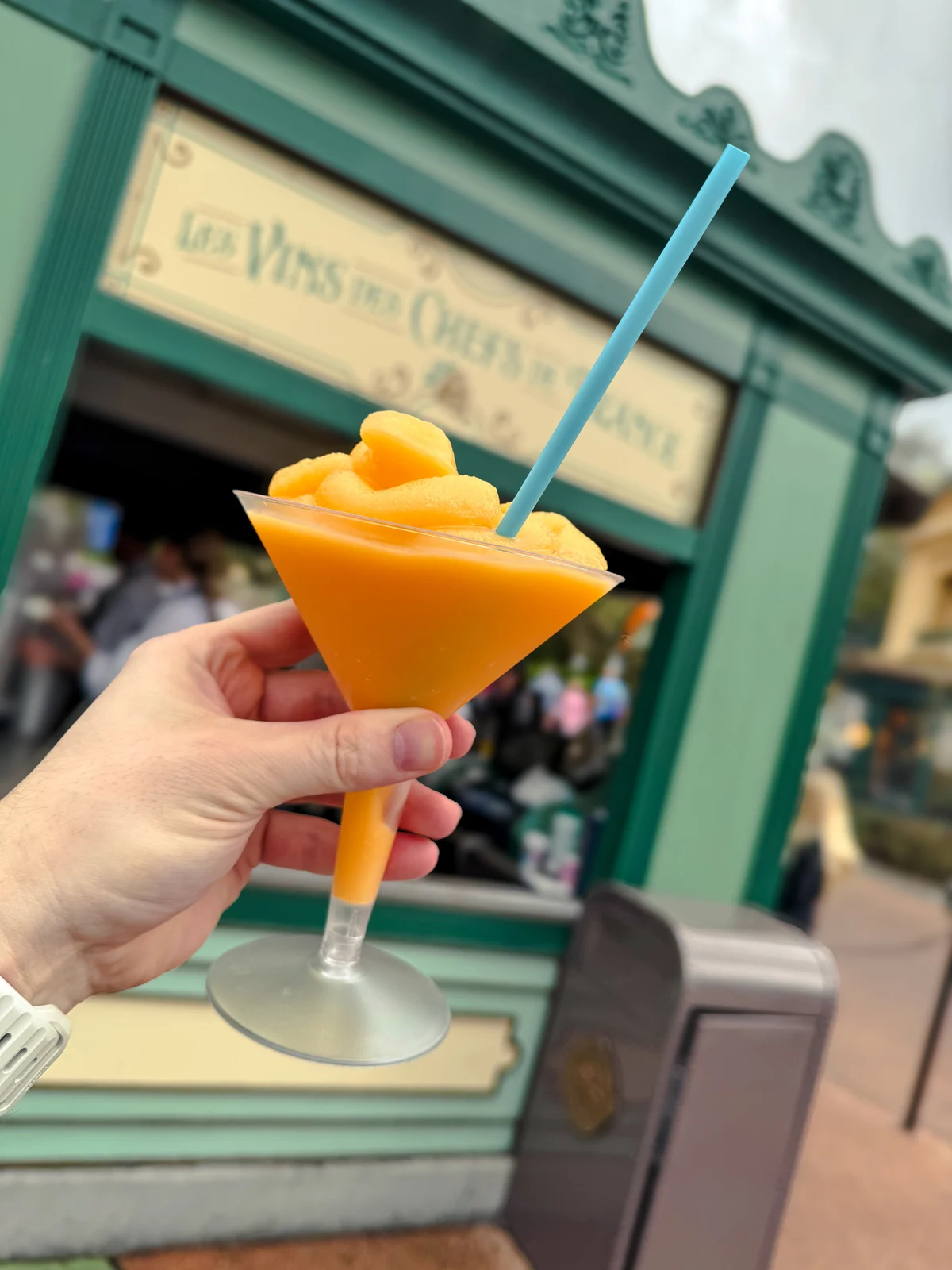 Magic SnackTrack | Your Personal Guide to Disney Snacks